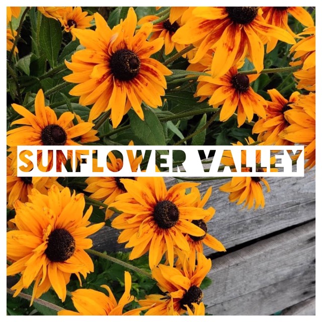 Sunflower Valley – Copacetic Cosmetics